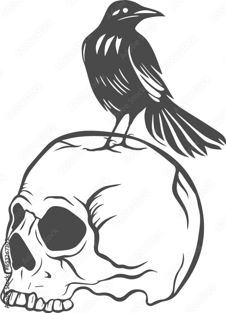 Crow on Skull svg, Skull vector, Halloween svg, Skull svg, Crow Cut ...