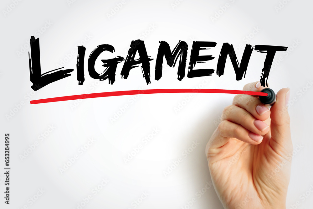 Ligament is a fibrous connective tissue that attaches bone to bone ...