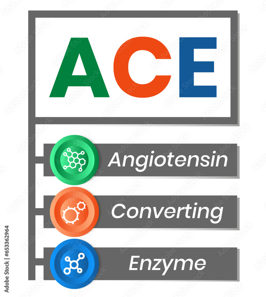 ACE - Angiotensin Converting Enzyme acronym. business concept ...