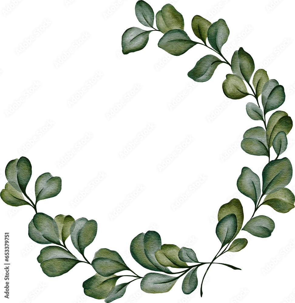 Eucalyptus circle wreath, green leaves branches isolated on white ...