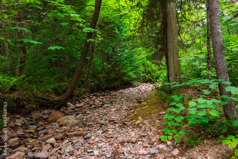 Dried river bed in the forest of Acadia National park in Maine Stock ...