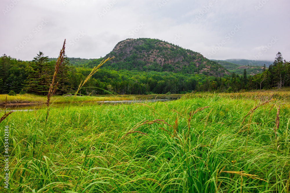 Tall grasses, wetlands, marshes, pine trees, sandy beaches, all seen ...