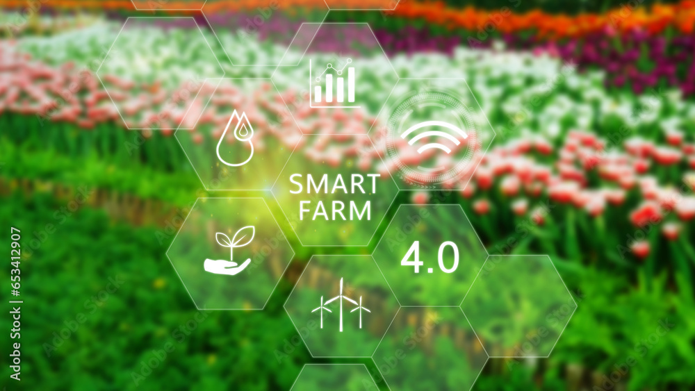 Smart farm, agriculture concept with infographics Smart farming and ...