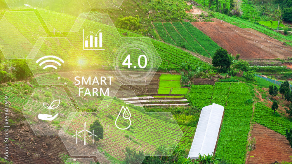 Smart farm, agriculture concept with infographics Smart farming and ...