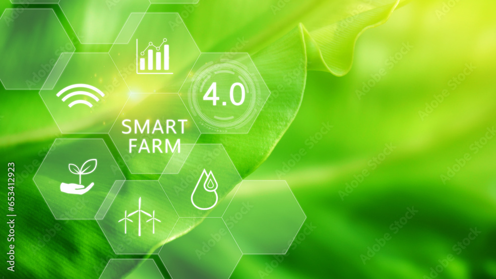 Smart farm, agriculture concept with infographics Smart farming and ... Smart farm, agriculture concept with infographics Smart farming and ...