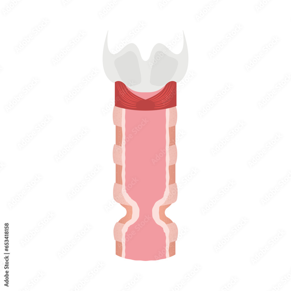 Tracheal stenosis awareness illustration. Trachea narrowing symbol. Difficulty breathing ...