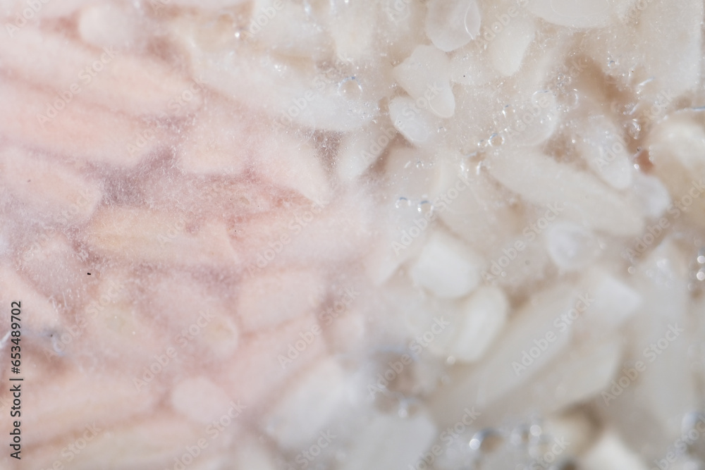 Bacillus cereus is a toxin producing bacteria that is one of the most ...