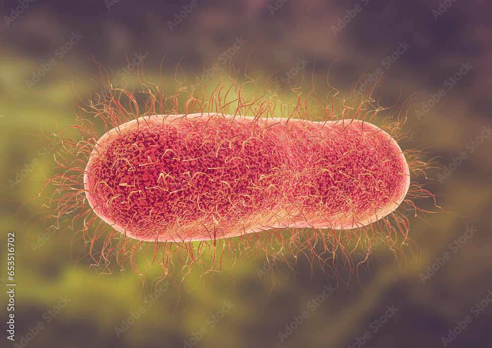 ภาพประกอบสต็อก Microscopic view of Salmonella enterica serotype Typhi ...