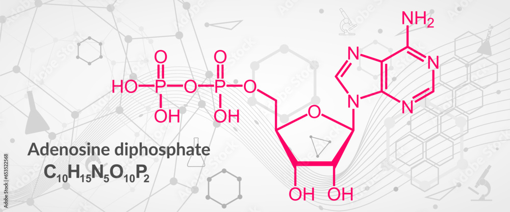 ADP or adenosine diphosphate molecular structure. DNA and RNA building ...