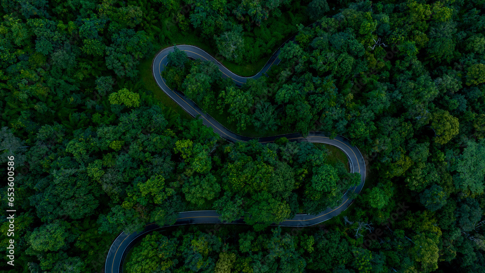 Aerial top view road in forest with car motion blur. Winding road ...