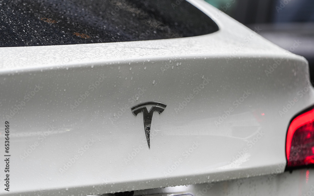 New York, USA - 3 September 2023:The logo sign of Tesla American ...