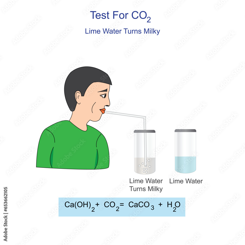 Diagram for the testing of carbon dioxide gas. bubble carbondioxide ...