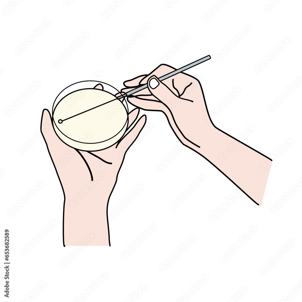 The picture shows streak plate method of pure culture technique with ...