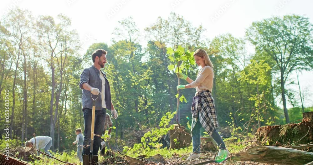 Side-view of beautiful lovely couple planting trees together in ...