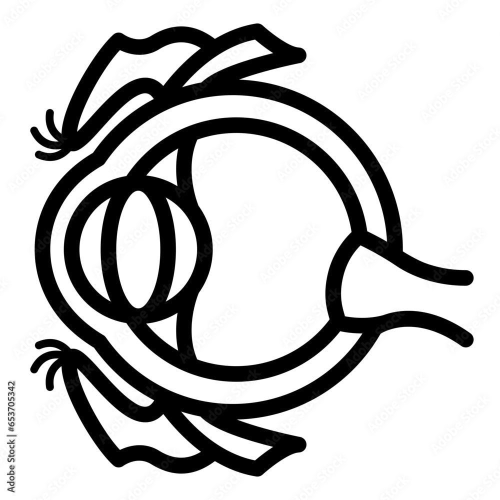 anatomy of the human eye icon Stock Vector | Adobe Stock