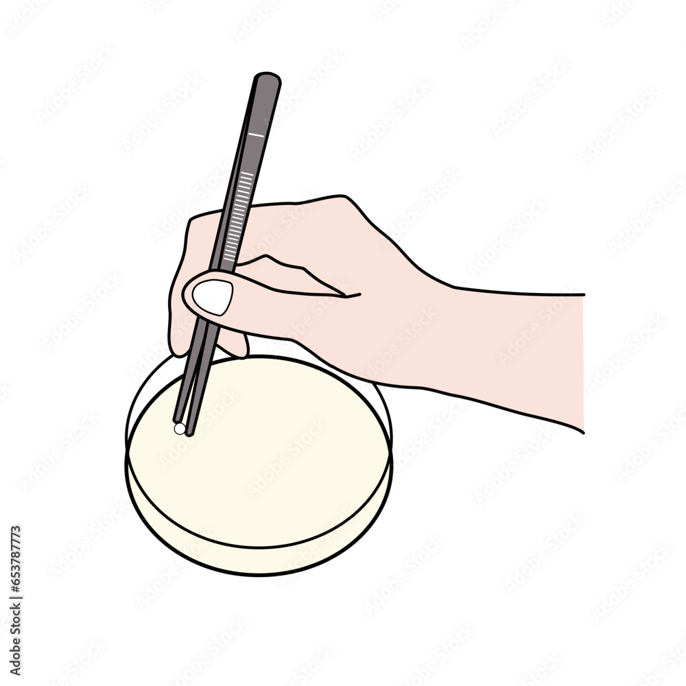 The once step of Antibiotic susceptibility test that shows putting of ...