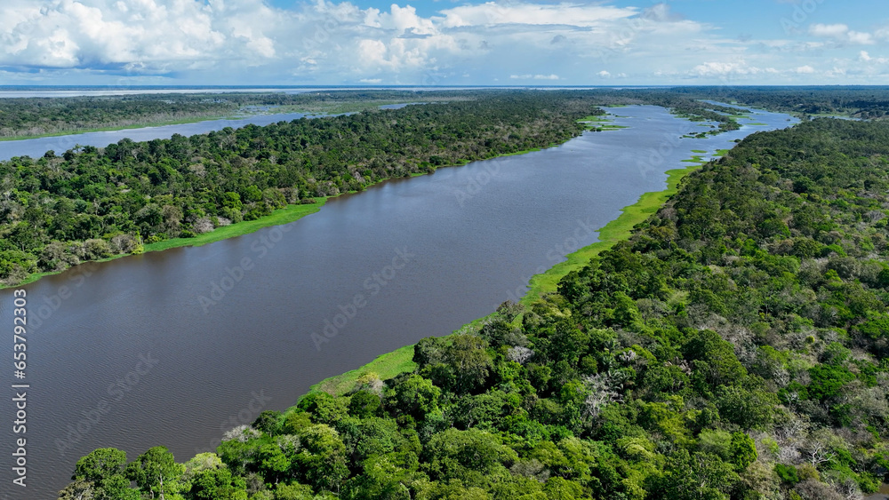 Nature tropical Amazon forest at Amazonas Brazil. Mangrove forest ...