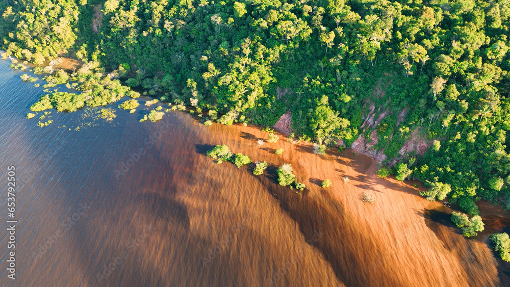 Nature aerial view of Amazon forest at Amazonas Brazil. Mangrove forest ...