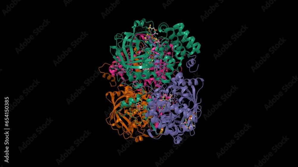 Structure of human erythrocyte catalase. Animated 3D cartoon and ...
