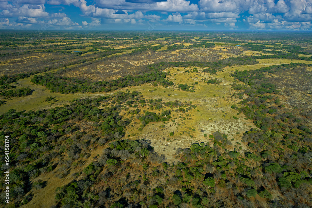 Africa aerial landscape, green river, Okavango delta in Botswana. Lakes ...