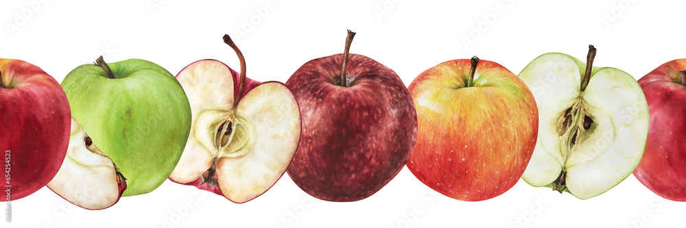 Apple seamless Border. Watercolor botanical illustration of Fruit ...