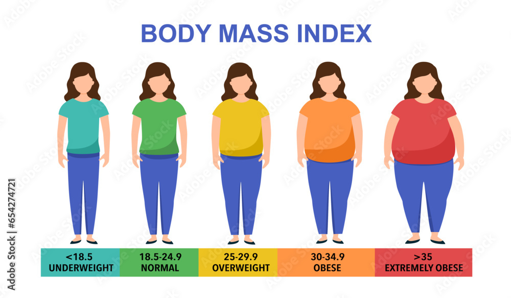 Body mass index vector illustration from underweight to extremely obese ...