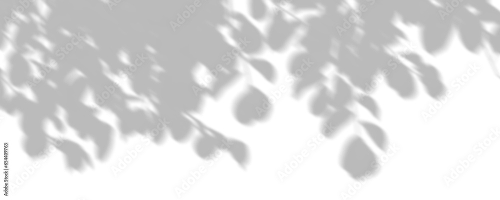 Isolate shadow tree branches leaves movement on transparent backgrounds ...