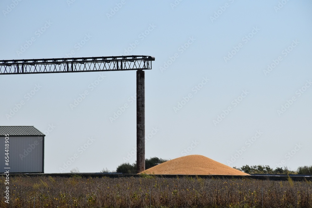 Pile of Harvested Corn by a Grain Tower Stock Photo | Adobe Stock