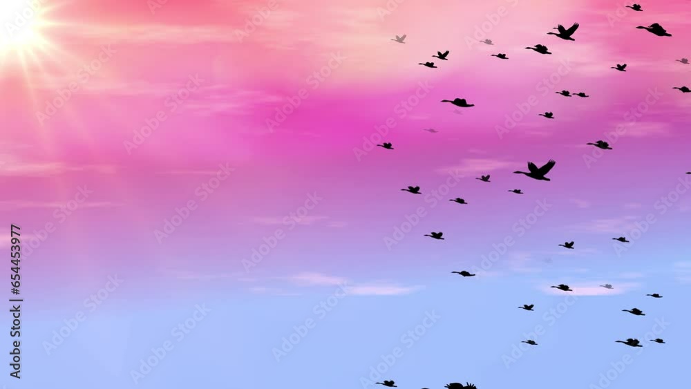 Birds Flying With Sun View Cartoon Animation, 2d Animation Of Flying ...