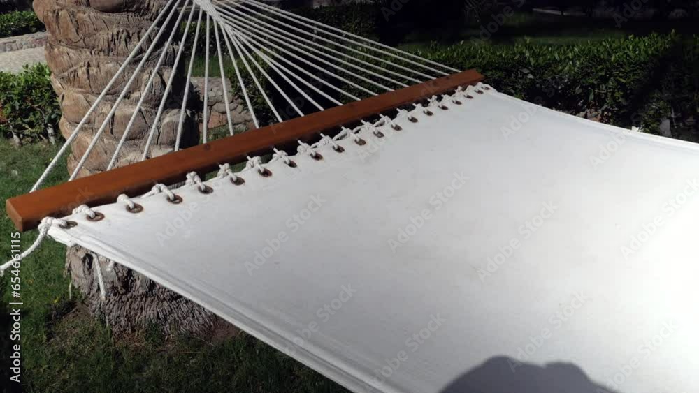 A white hammock clamped between two olive trees. The hammock looks cozy ...