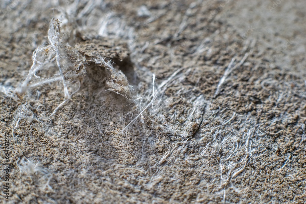 Detailed photography of material with asbestos fibres. Health harmful ...