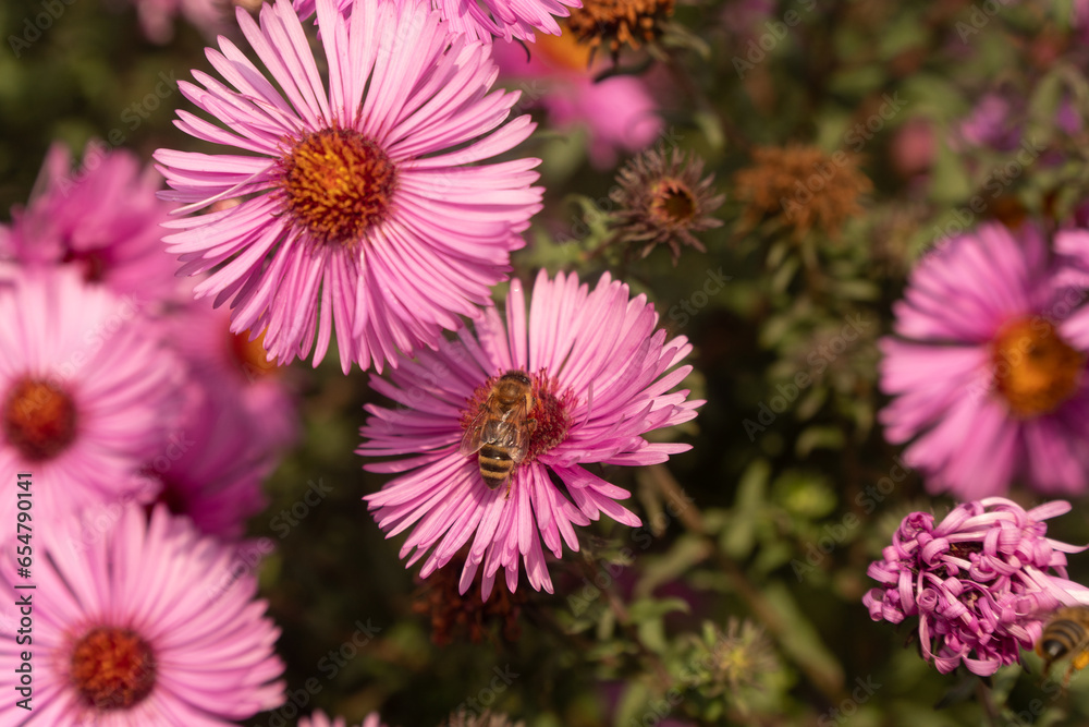 This fascinating photo was captured at the most interesting moment of ...