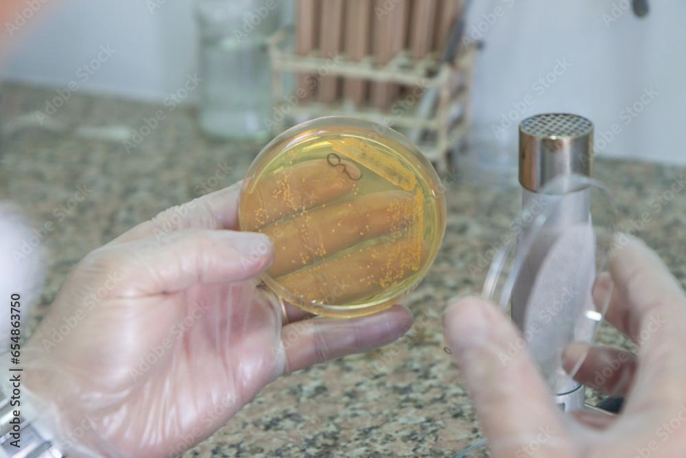 Biochemist holding an automated inoculation and seeding system for ...