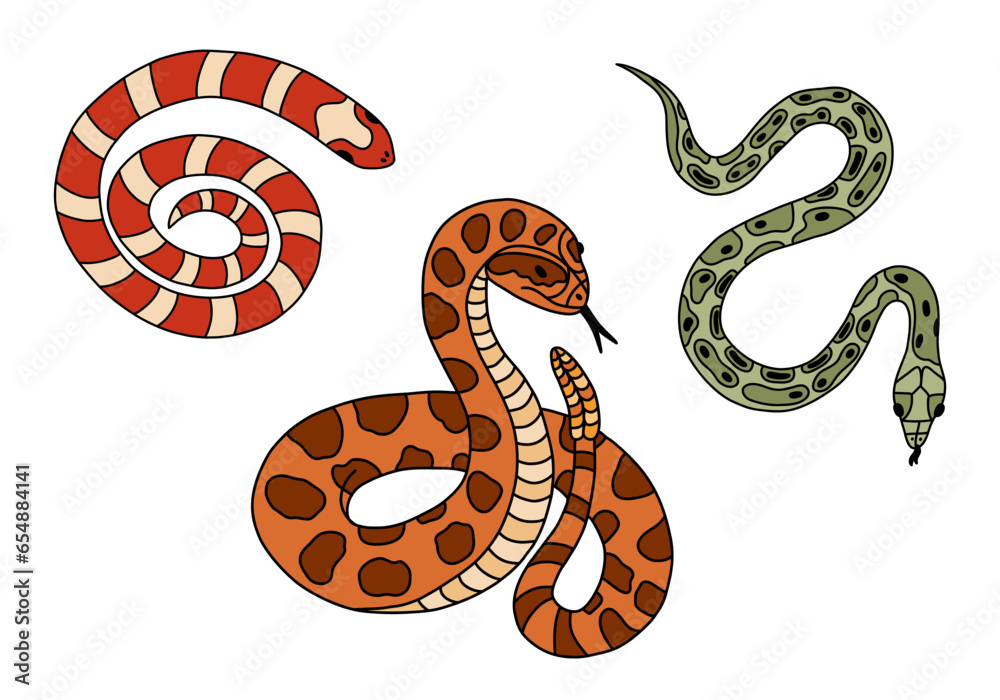 Set of different snakes with hand drawn outline. Vector collection of ...