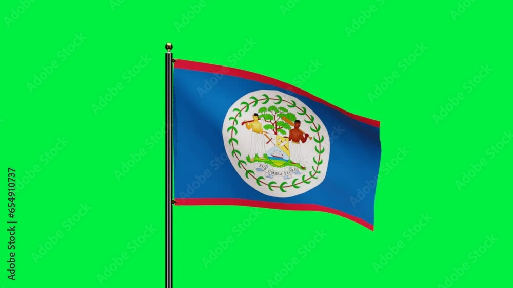 3D Rendered Belize National Flag Waving Animation with Realistic Wind ...