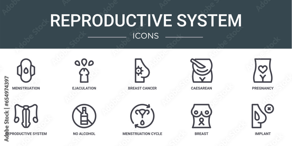 Vetor de set of 10 outline web reproductive system icons such as ...
