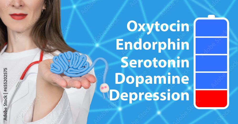 Hormones in human body. Cropped female doctor. Brain in hand of ...