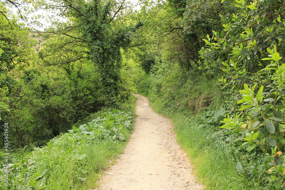 Pozzuoli, the super active volcano of the Campi Flegrei. The solfatara ...