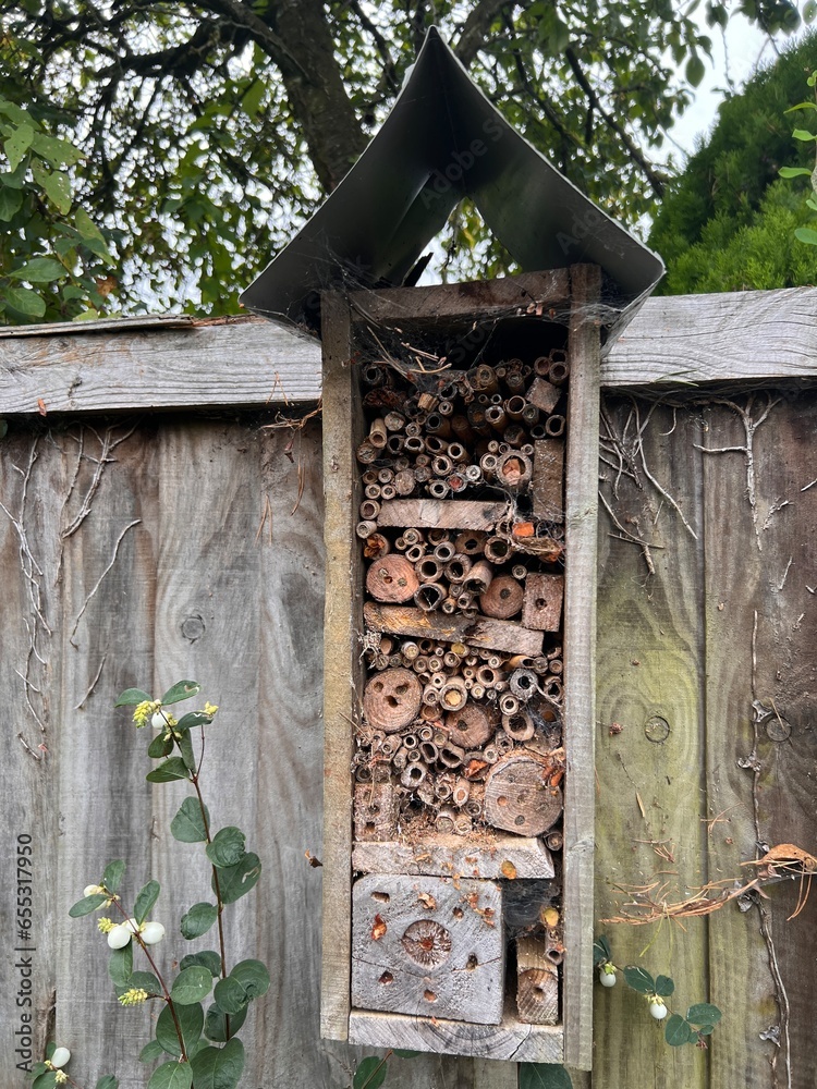 Landscape with bee insect hotel for nesting hand made with timber cane ...
