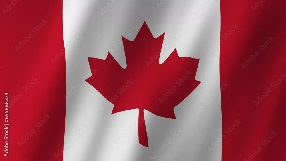 Canadian Flag. National 3d Canada flag waving. Flag of Canada footage ...