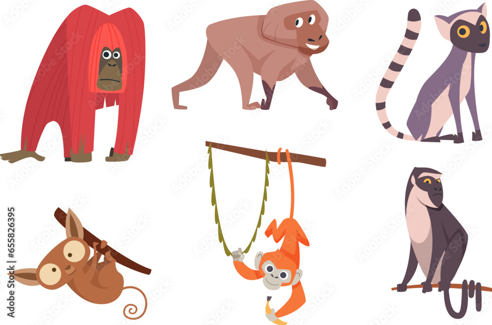 Monkey. Cartoon wild animals in action poses exact vector funny monkeys ...