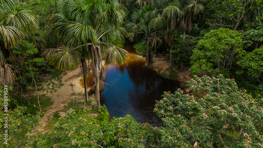 The lagoons in the Amazon rainforest, with black water that form ...