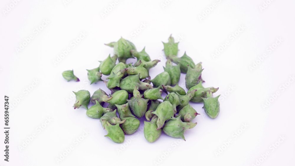 Gokhru Chota,Tribulus Terrestris Seeds, Bada Gokharu Ayurvedic Medicine ...