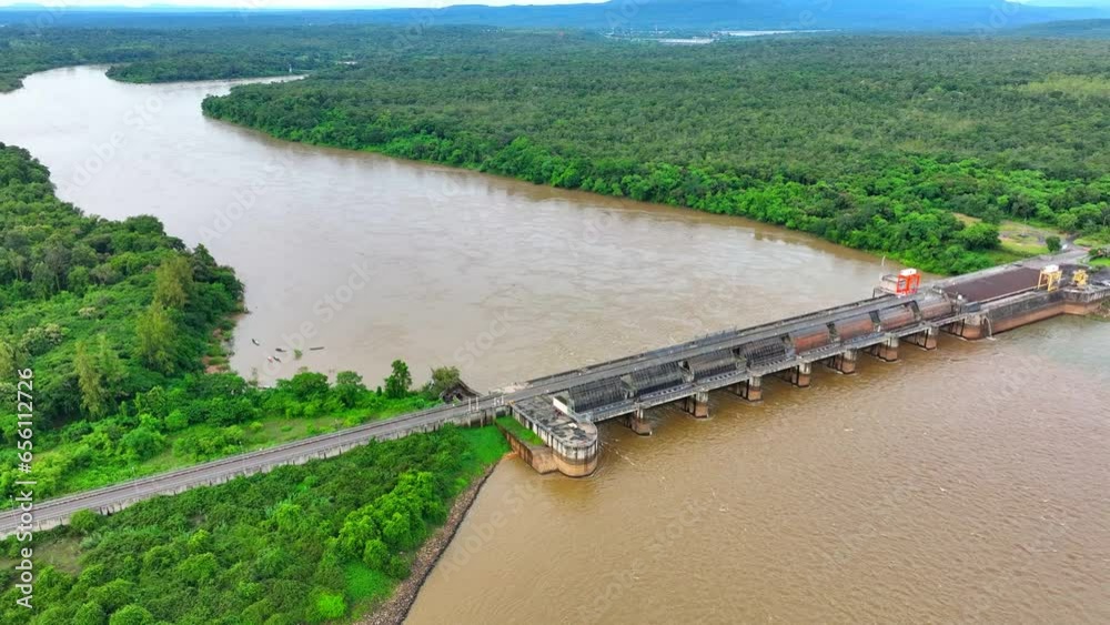 Dams in ecosystems alter water flow, impacting flora and fauna. Bird's ...
