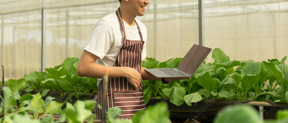 Asian smart farmer holding laptop while checking vegetable in the ...