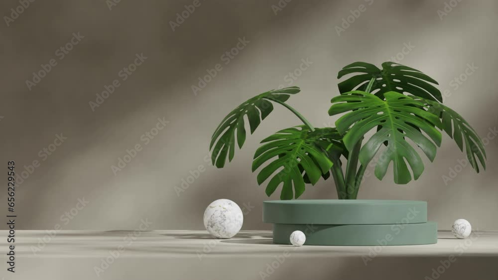 looping seamless shadow animation with monstera plant and marble ball ...
