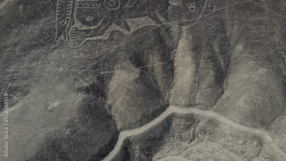 Camera slowly moving over the whale know as La Orca part of the Nazca ...