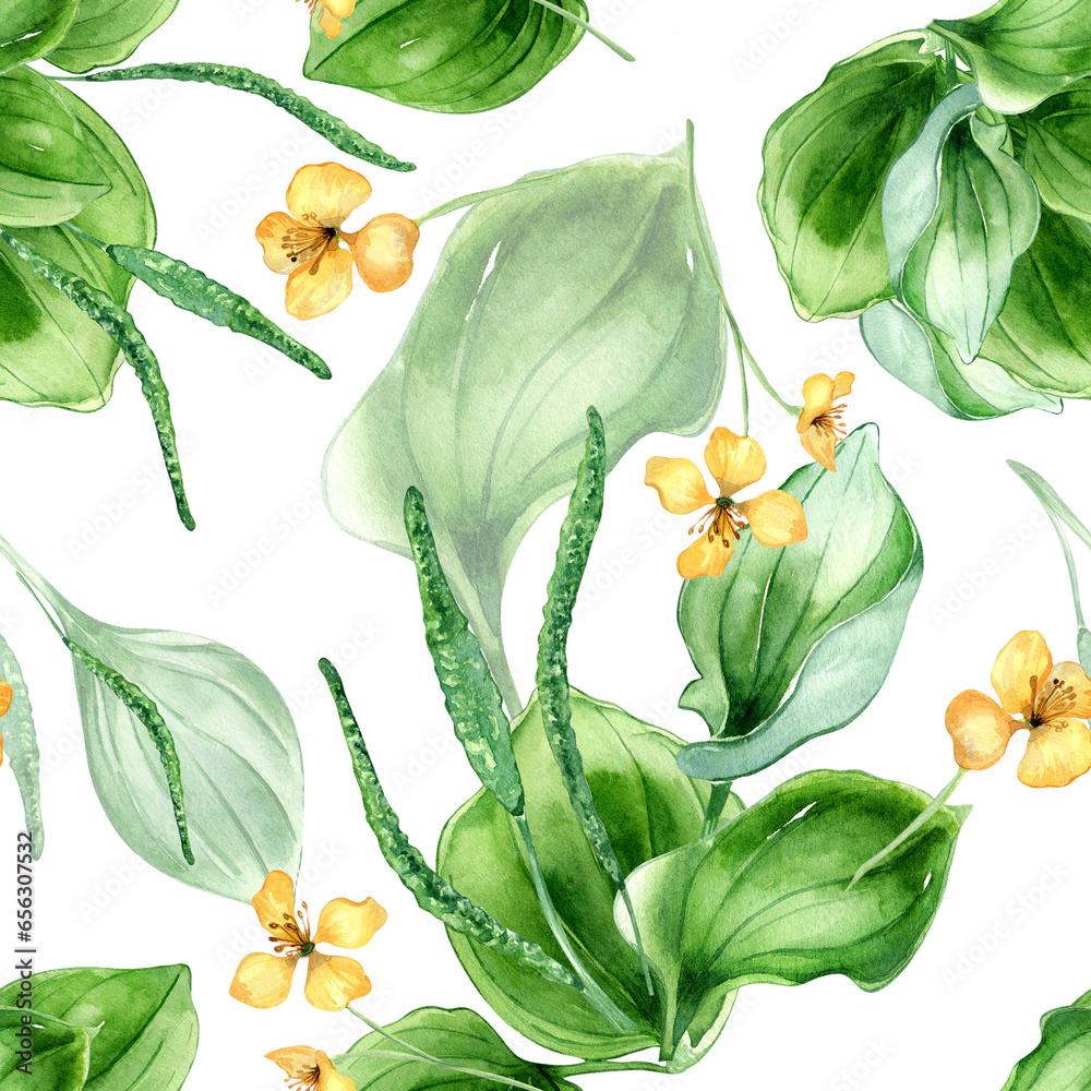 Plantago broadleaf, celandine watercolor seamless pattern isolated on ...