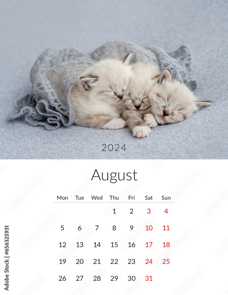 August 2024 Photo calendar with cute cats. Annual daily planner ...