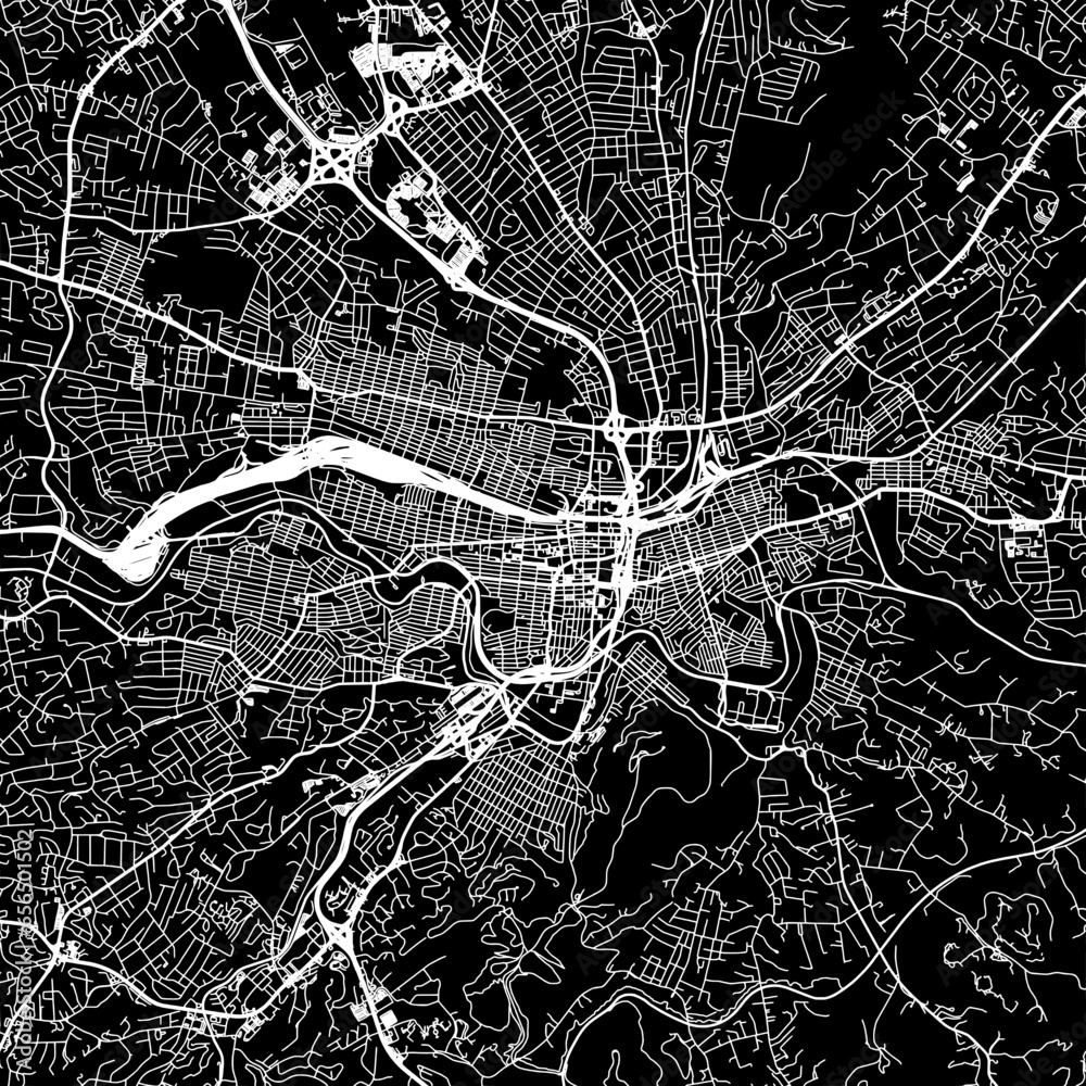 1:1 square aspect ratio vector road map of the city of Roanoke Virginia ...